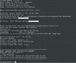 Install your VPN server with pi-hole on OVH VPS in 30 min » Blog Inforeseau.com – Alexandre ...